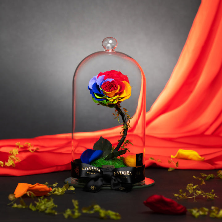 Endura Roses | The UK’s Top Floral Brand for Forever Roses