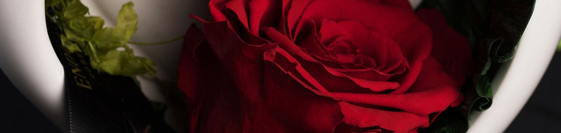 About Endura Roses UK | Forever Luxury Blooms