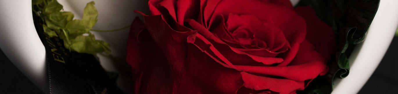About Endura Roses UK | Forever Luxury Blooms