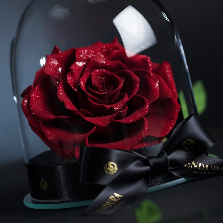About Endura Roses UK | Forever Luxury Blooms